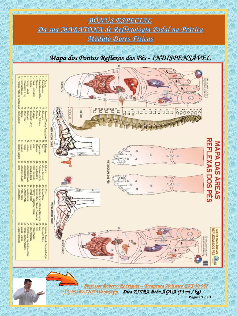 Mapa Dos Pontos Reflexos Dos Pés | PDF