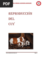 Ciclo de Lactancia de Una Vaca | PDF | Leche | Vacas