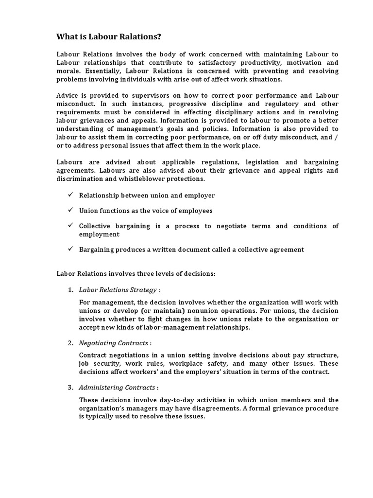 Understanding Labour Relations Dynamics | PDF | Finance & Money Management