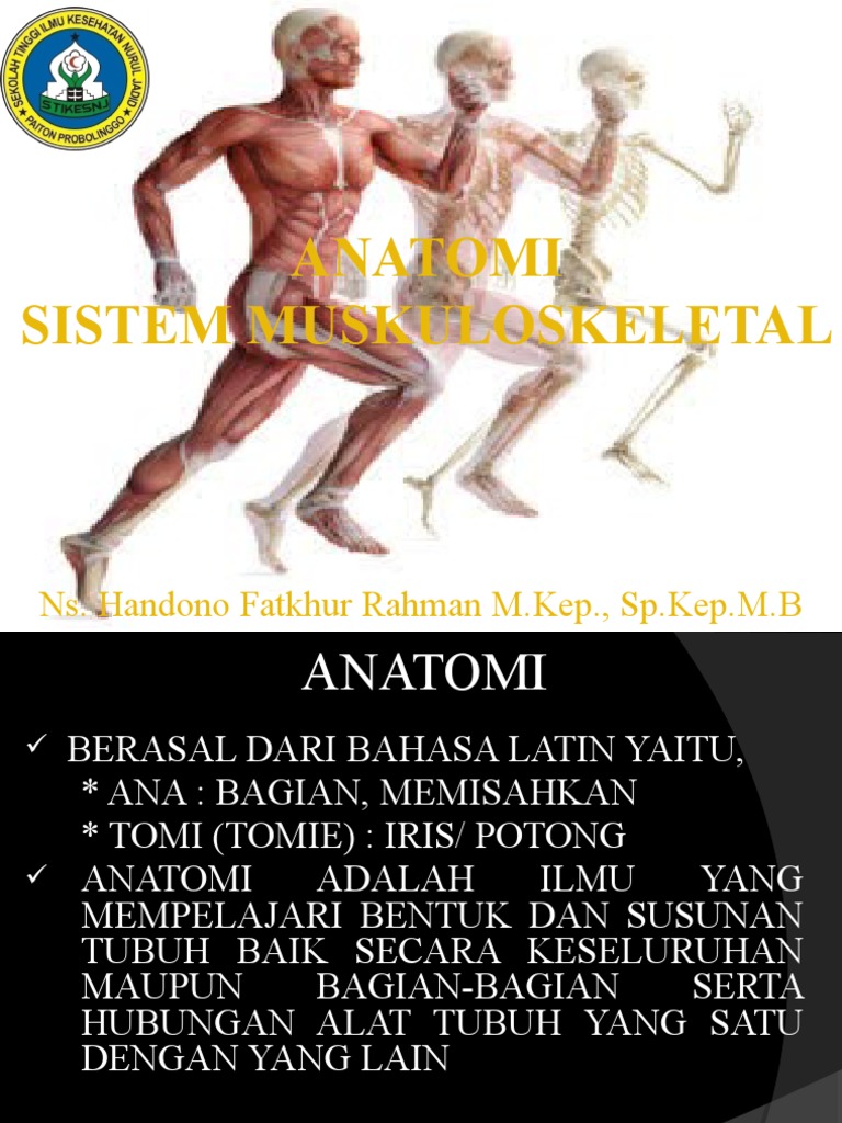 Anatomi Fisiologi Muskuloskeletal | PDF