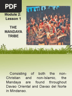 Manguangan and Mamanwa Tribe | PDF | Ethnic Groups | Ethnicity