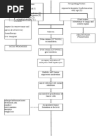 DVT Concept Map-1 | PDF | Thrombus | Bleeding