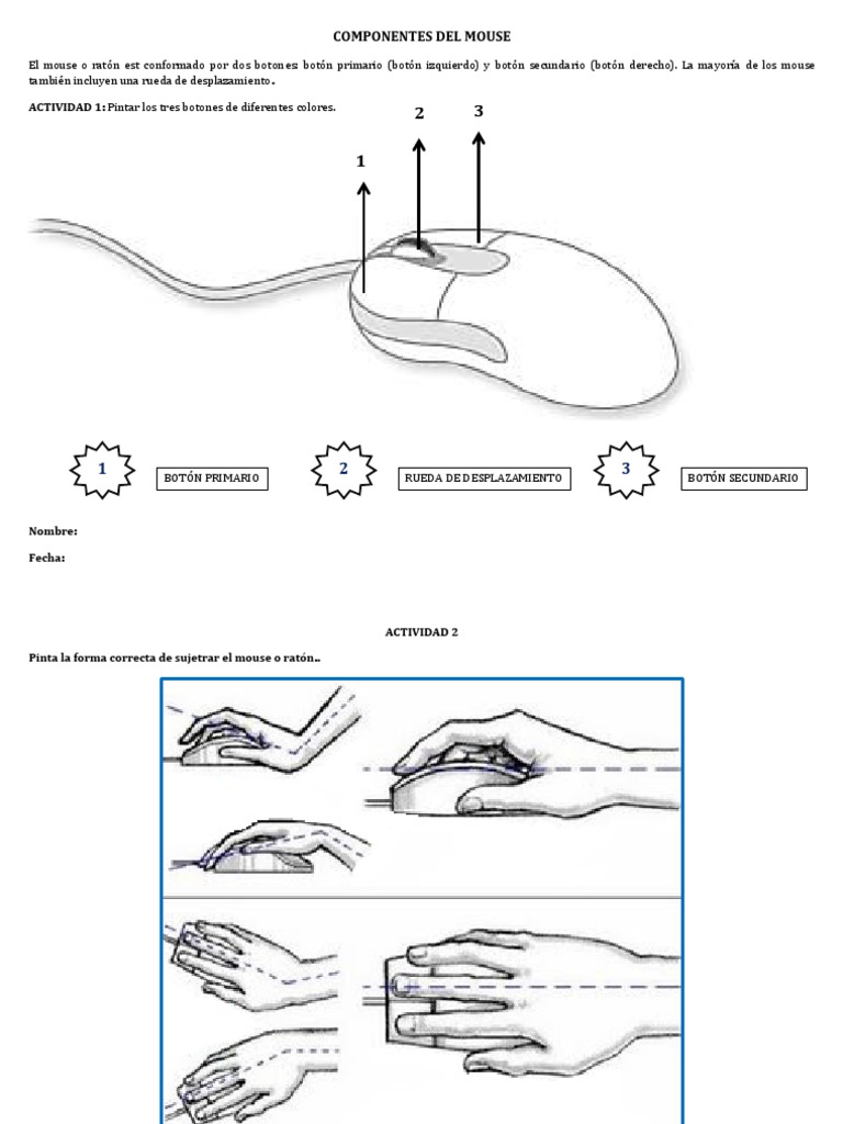 Componentes del Mouse: Botones y Uso | PDF