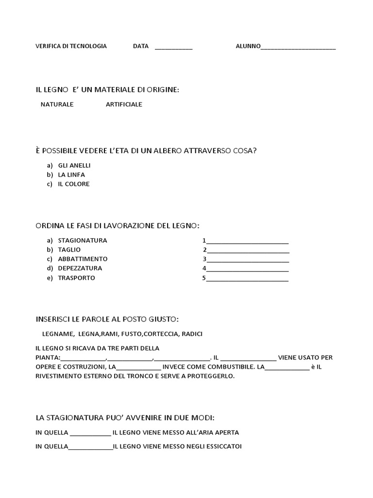 Verifica Di Tecnologia Data | PDF