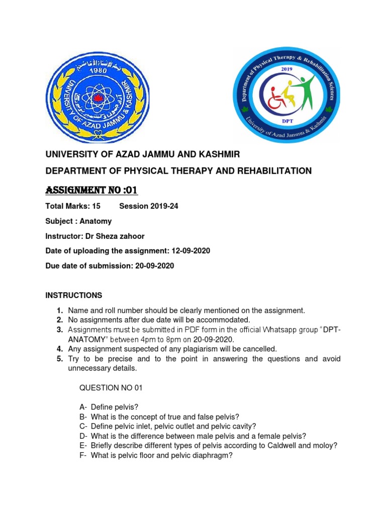 Anatomy Assignment 01 | PDF