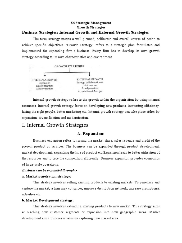 Business Strategies: Internal Growth and External Growth Strategies ...