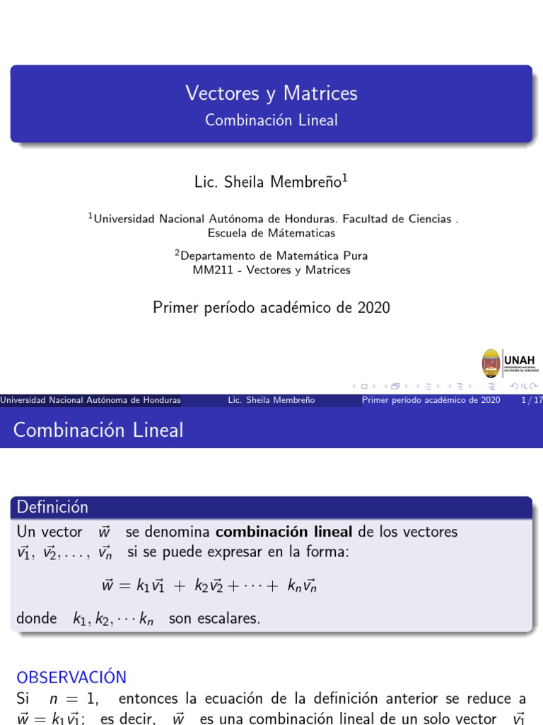 MM-211 Combinaciones Lineales | PDF | Matriz (Matemáticas) | Vector Euclidiano