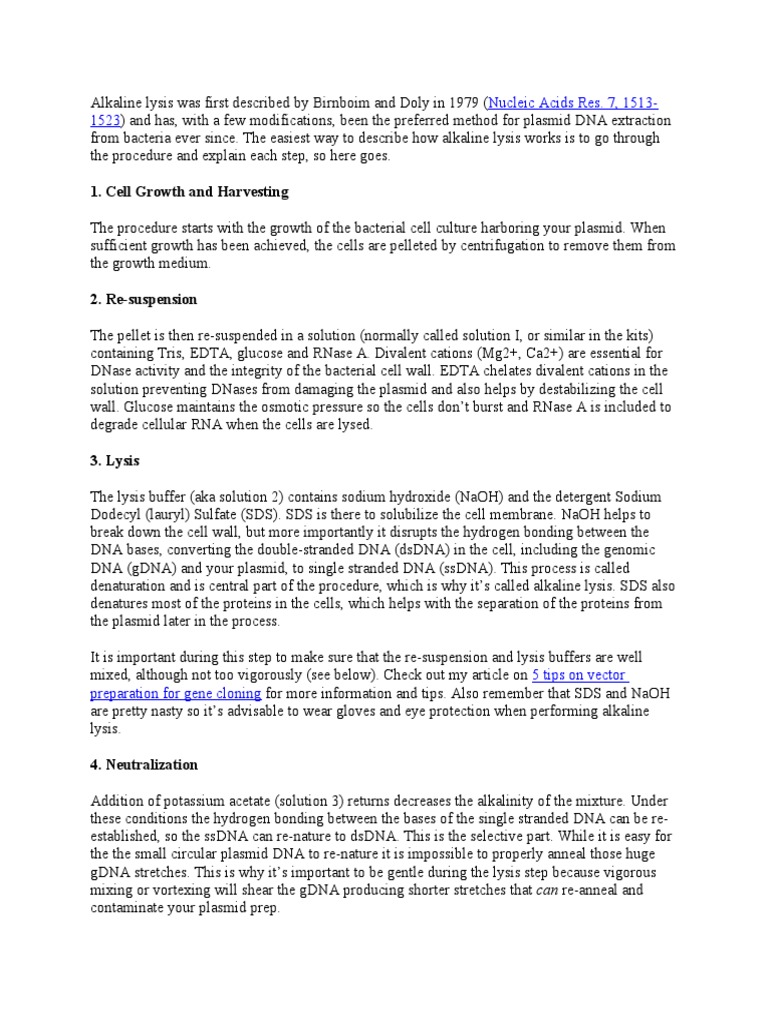 Alkaline Lysis Plasmid Dna Extraction In 5 Steps Pdf Lysis Life