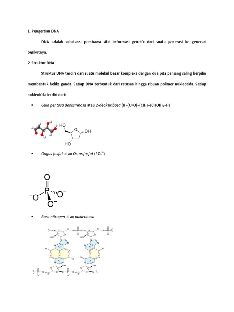 Gula Pentosa Deoksiribosa Atau 2-Deoksiribosa (H (C O) (CH | PDF