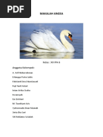 Angsa (Anser Anser) | PDF