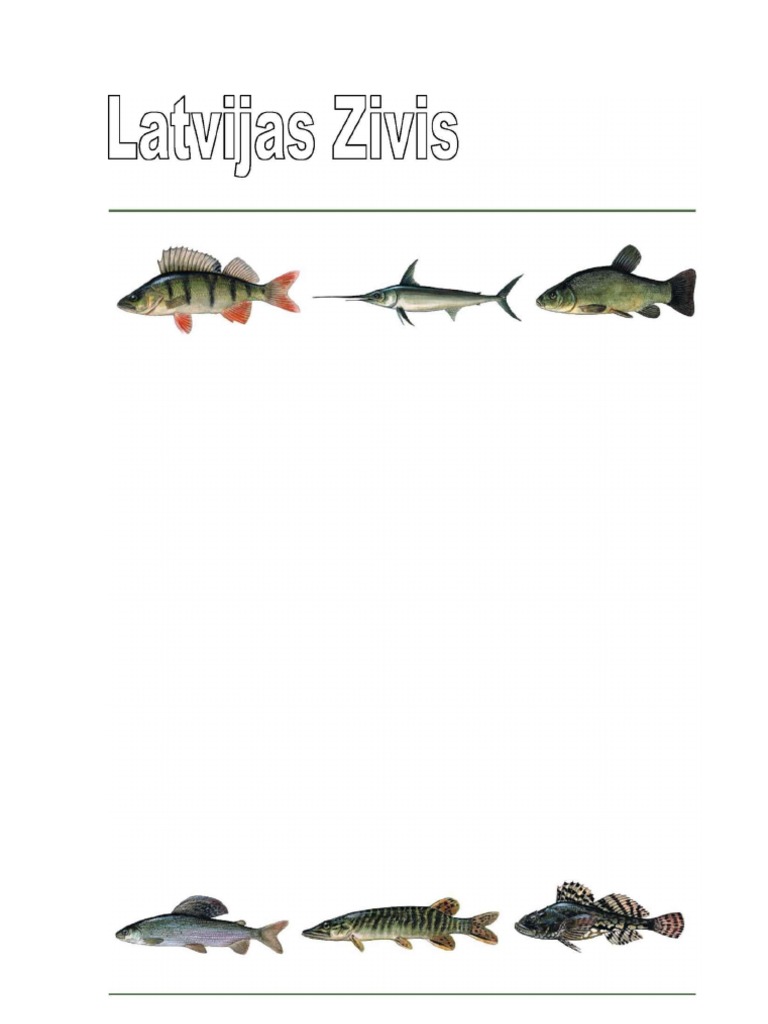 Latvijas Zivis (Lat)