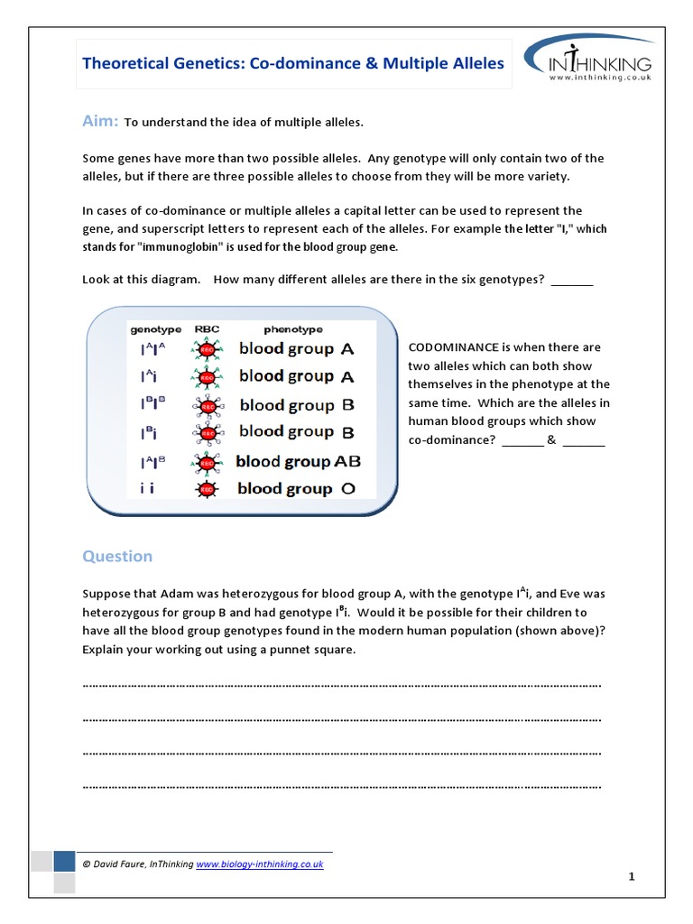 Genetics Codom Multiple Alleles Qns | PDF | Dominance (Genetics) | Allele