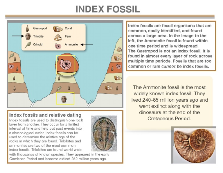 Index Fossil-Final Final 1 1 | PDF | Science & Mathematics | History