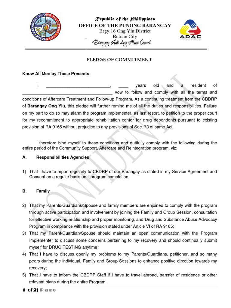 Pledge of Commitment | PDF | Policy | Government