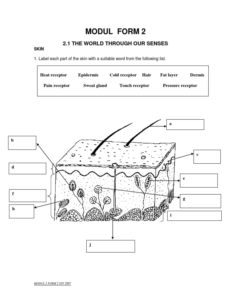Modul Science Form 2 | PDF | Human Digestive System | Digestion