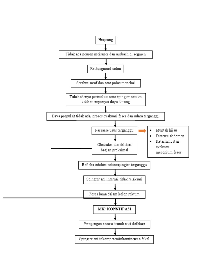 01 Hisprung Pathway | PDF
