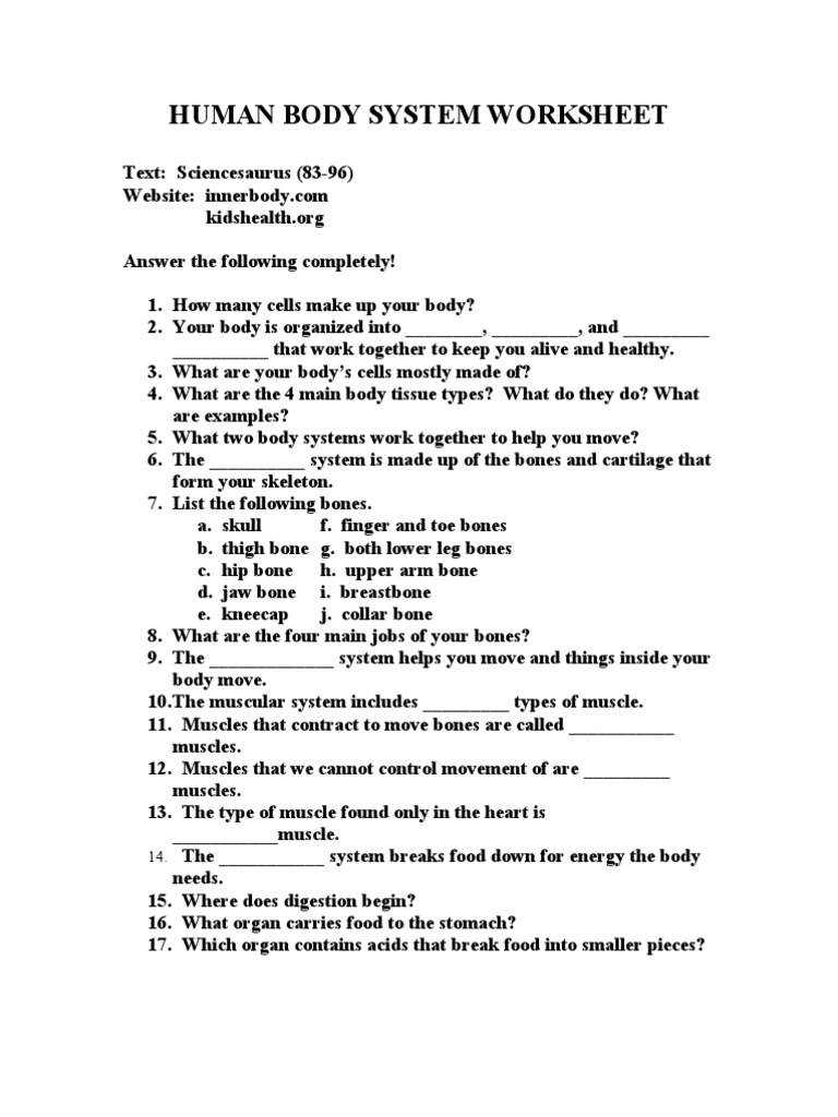 Human Body System Worksheet | Download Free PDF | Human Body | Bone