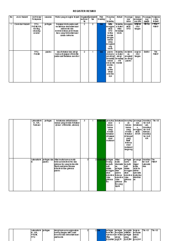 Register Risiko Puskesmas Contoh | PDF
