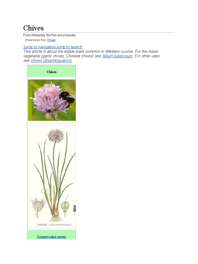 Chives: Jump To Navigation Jump To Search | PDF | Plants | Botany
