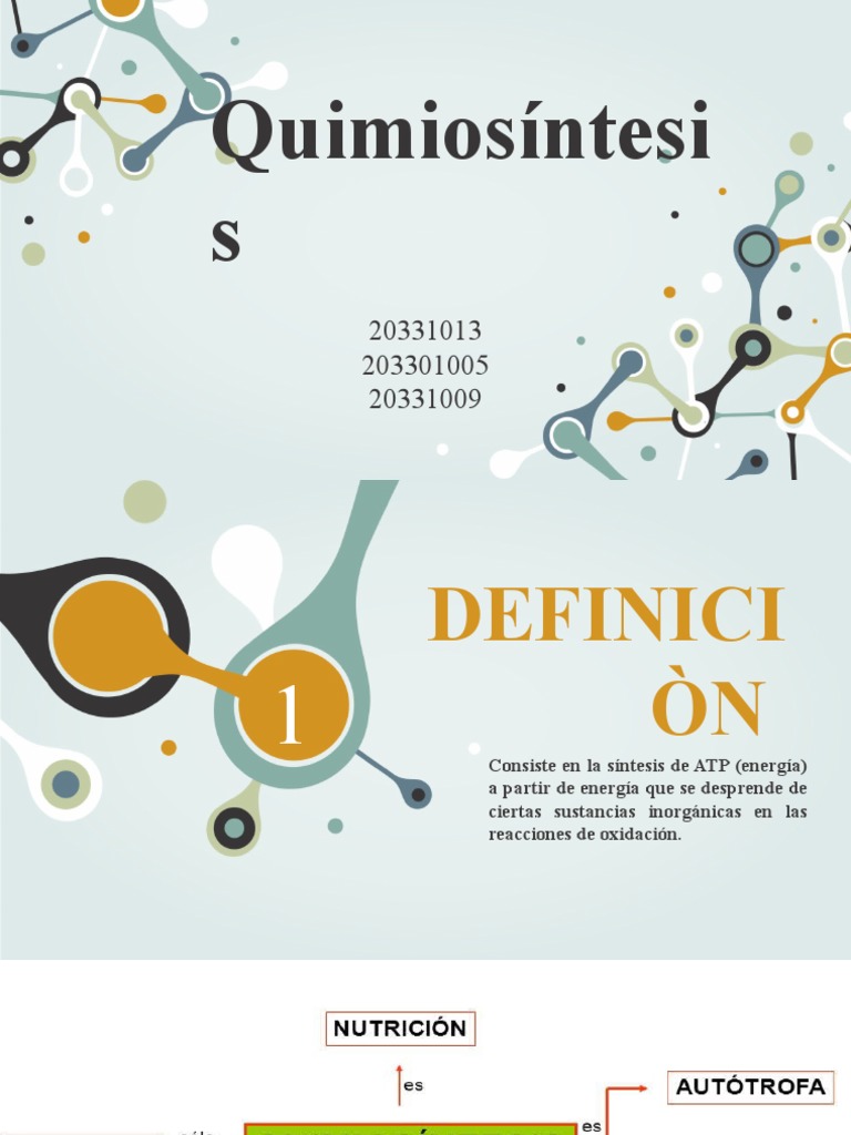 Quimiosíntesis | PDF