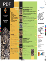 Awareness Safety Talk SNAKE HAZARDS | PDF | Snake | Venomous Snakes