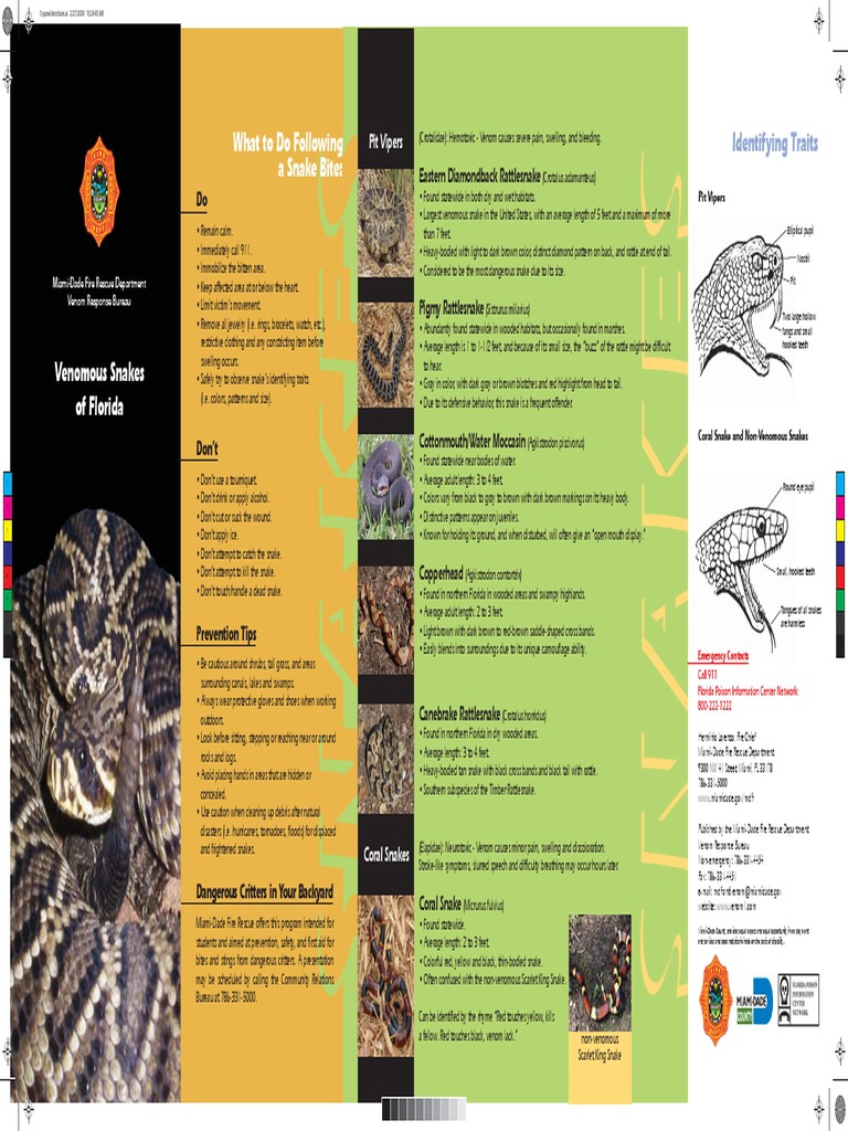 What To Do Following A Snake Bite:: Identifying Traits | PDF | Snake ...