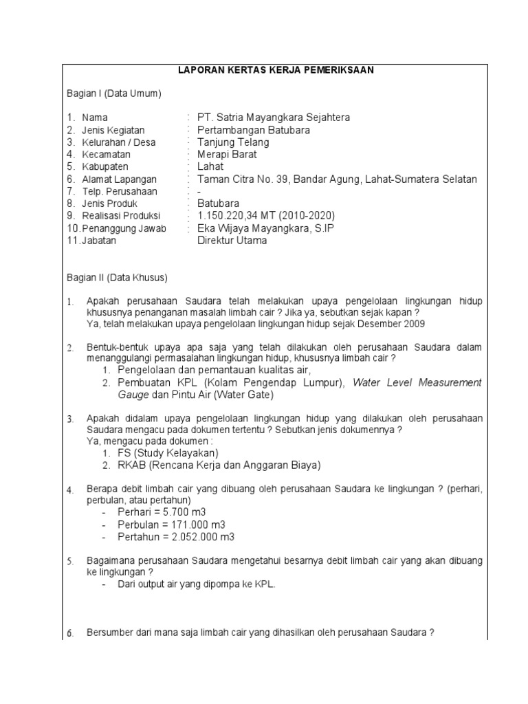 Laporan Kertas Kerja Pemeriksaan | PDF