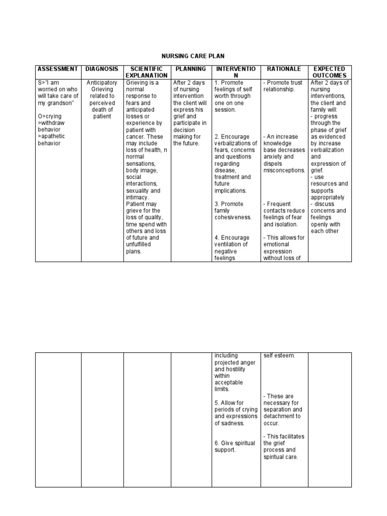 NCP Case Study | PDF | Grief | Feeling