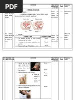 Catheter Flush & Bladder Washout Guide | PDF | Catheter | Urinary Bladder