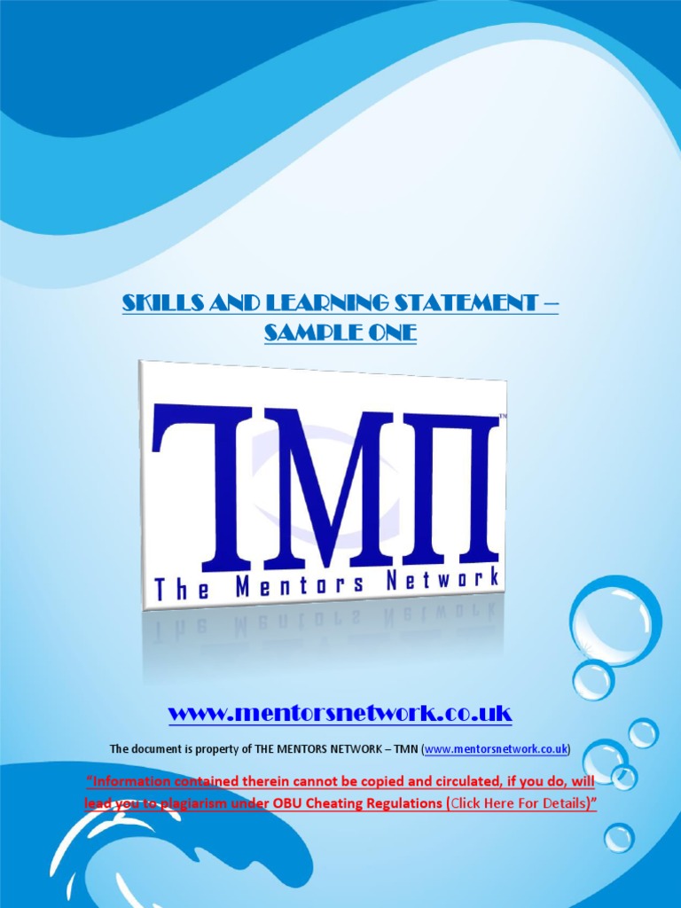 Skills and Learning Statement Overview | PDF | Mentorship | Communication