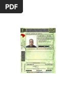 Modelo de CNH Editável em PDF | PDF