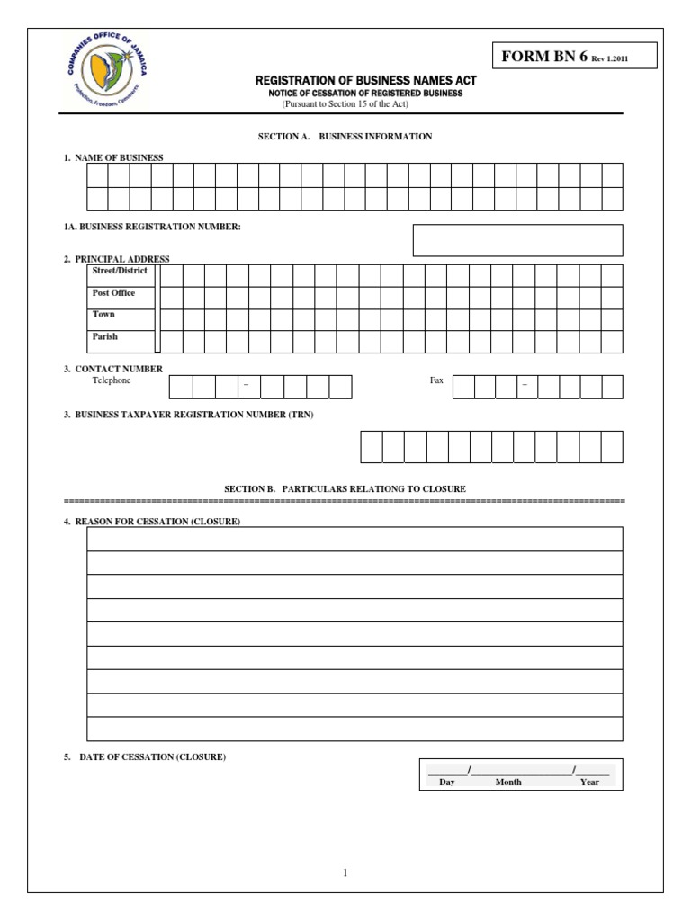 Form BN 6: Registration of Business Names Act | Download Free PDF ...