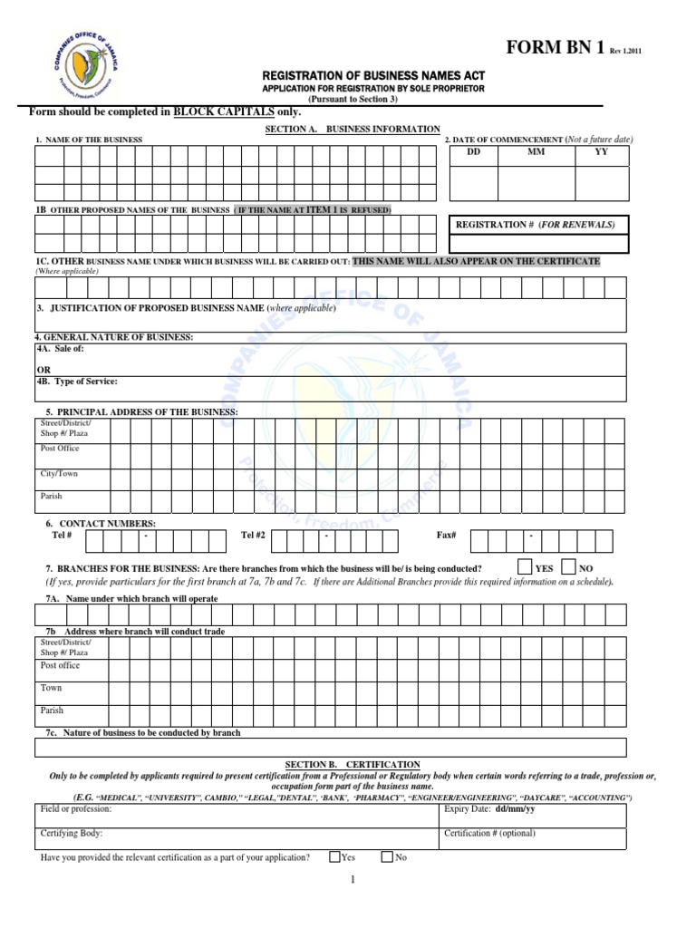 Form BN 1: Registration of Business Names Act | PDF | Justice | Crime ...