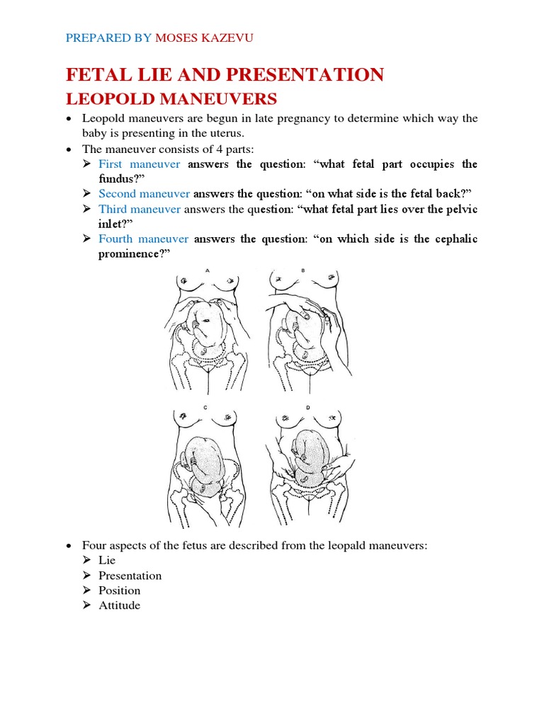 MK Fetal Lie and Presentation (OBGY) | PDF | Childbirth | Human ...
