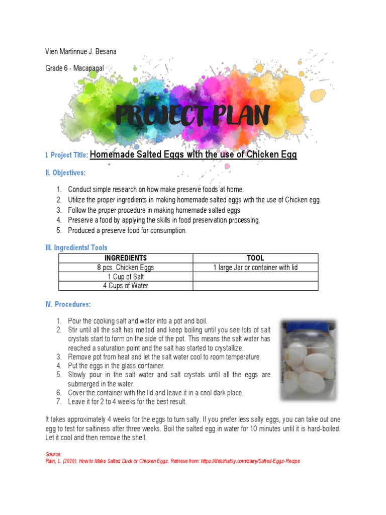 PT 2 (HE) - Project Plan | PDF