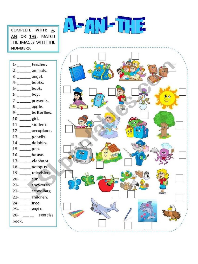 A An The Exercises | PDF