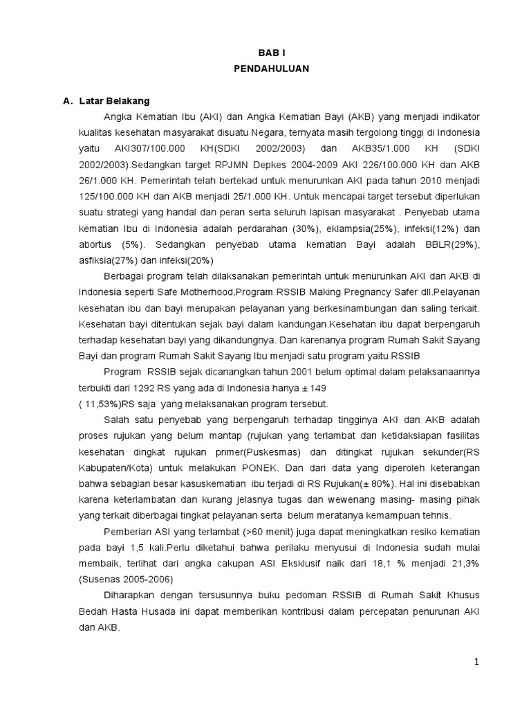 Pedoman Rssib RSKB Hasta Husada | PDF