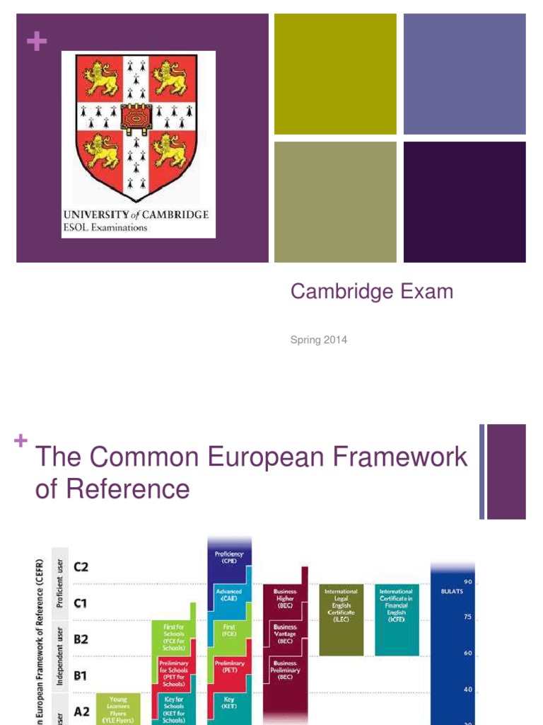 CAE Preparation Guide (Slides) | PDF | Multiple Choice | Linguistics