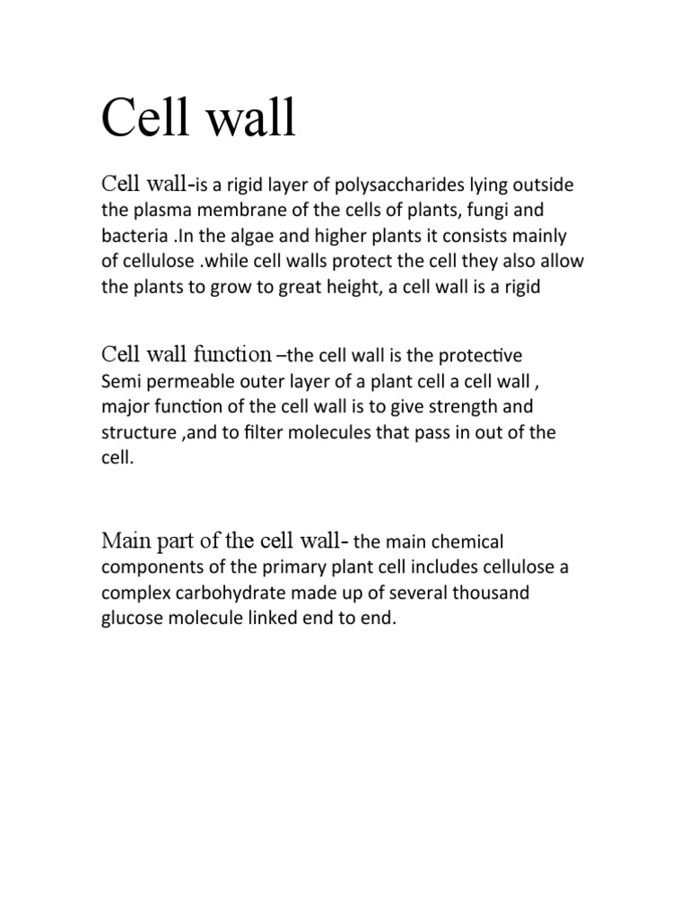 Cell Wall | PDF | Cell Wall | Cellulose