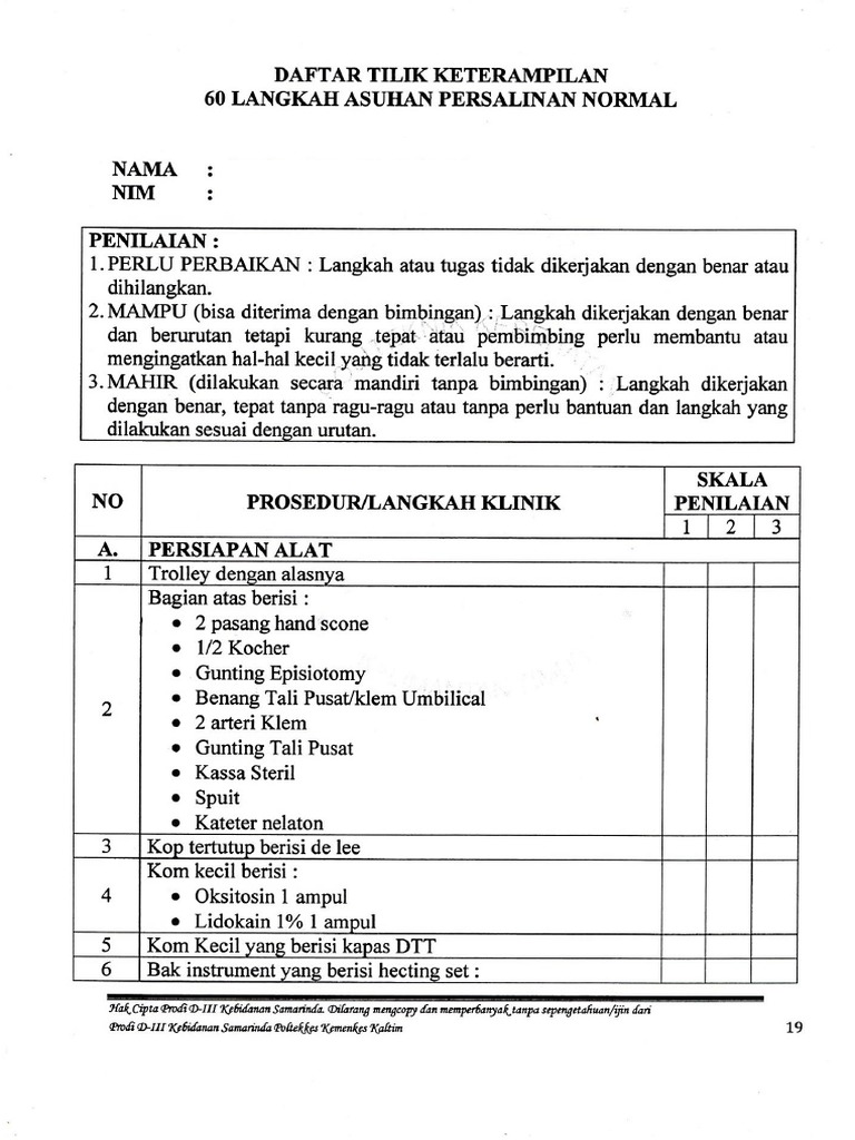 Daftar Tilik 60 Langkah APN | PDF