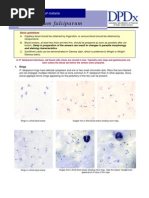 Reticulocyte Count With Miller Disc | PDF | Anemia | Red Blood Cell