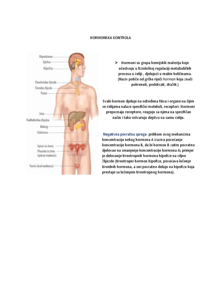 Hormonska Kontrolaa | PDF