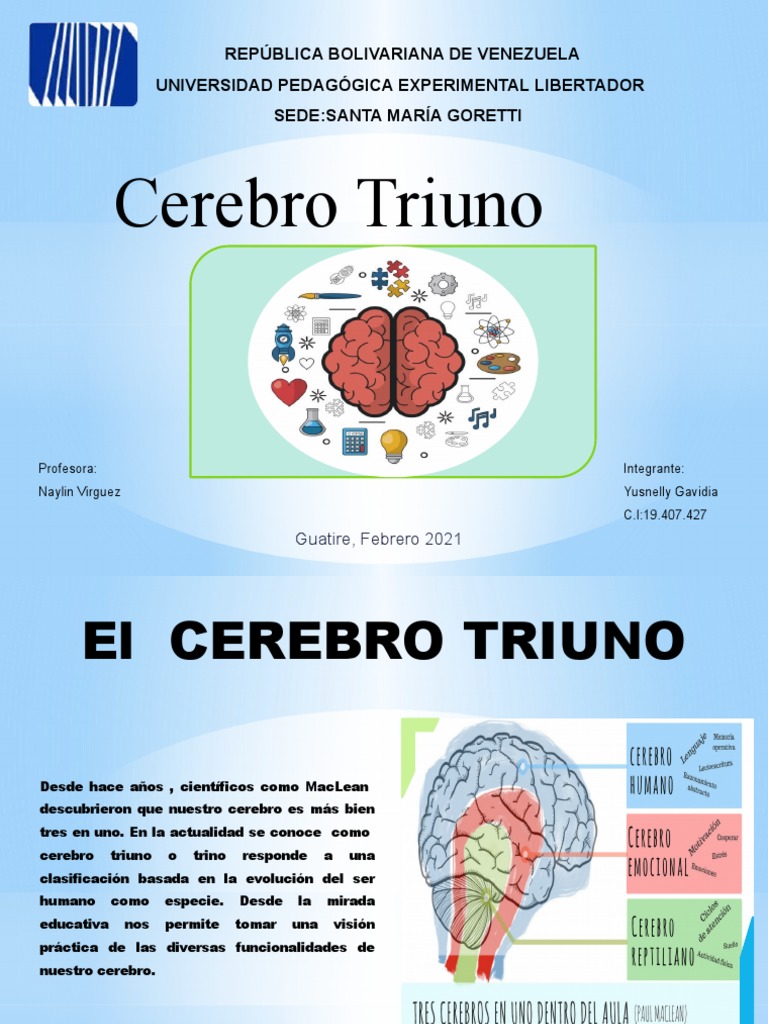 Cerebro Triuno El Cerebro Triuno | Pulidorey | Flickr