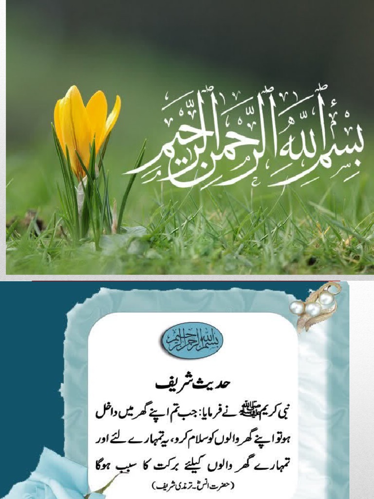 Cervical Spine Mobilization | PDF | Skeletal System | Human Anatomy