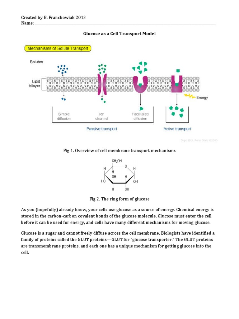 2b Getting Glucose Into Your Cells | PDF | Glucose | Cell Biology