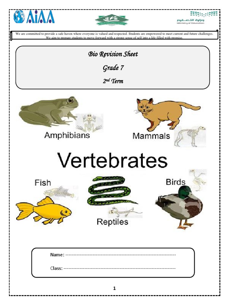 Bio Revision Sheet Grade 7: 2 Term | PDF | Fish | Egg
