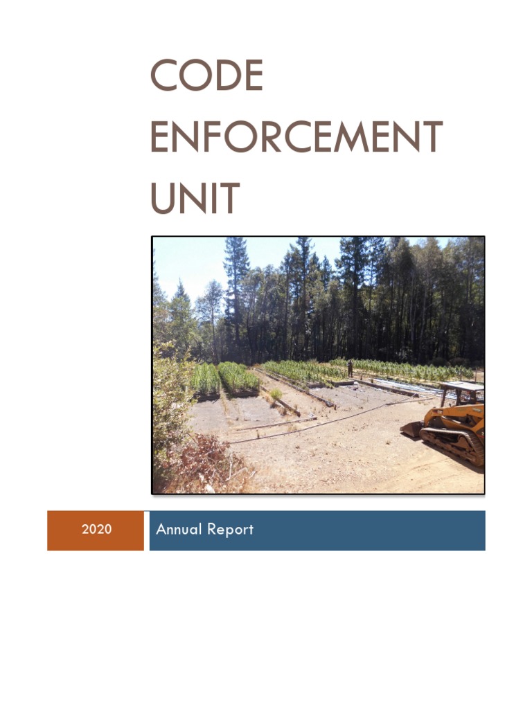 Code Enforcement Unit: Annual Report | Download Free PDF | Nuisance ...