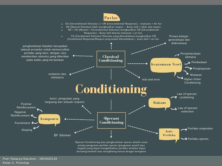 Classical & Operant Conditioning | PDF