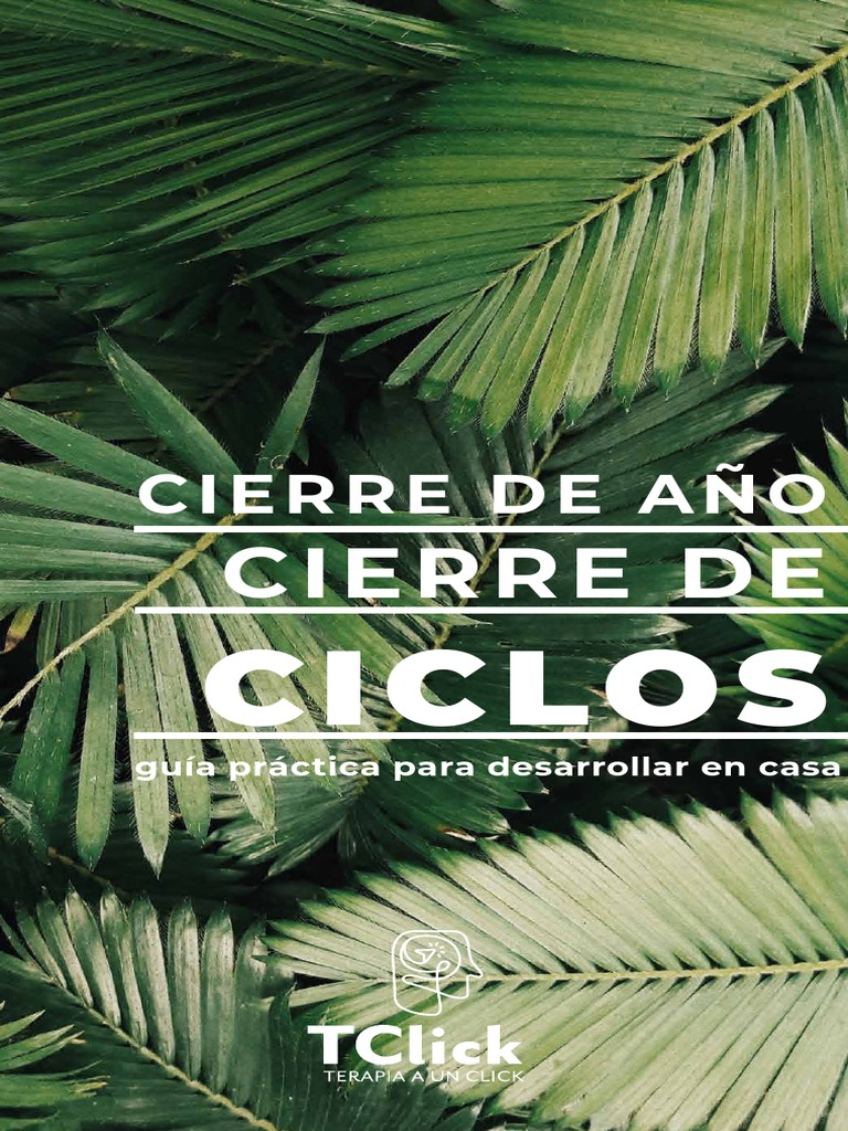 Cierre de Ciclos - TClick | PDF