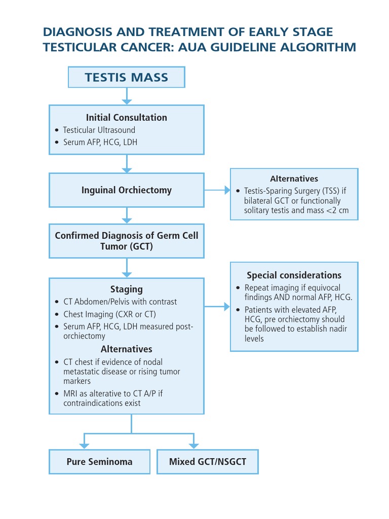 Diagnosis and Treatment of Early Stage Testicular Cancer: Aua Guideline ...